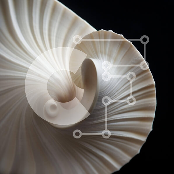 Download Mysterious Floating Seashell Stockphotos Online - Creative Fabrica