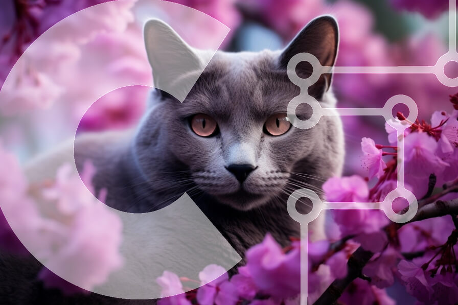 Chat gris et fleurs de cerisier roses dans la nature photo stock ...