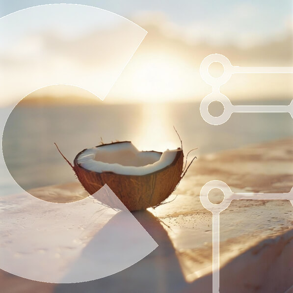 Coconut Half-Shell by the Ocean at Sunset stock photo | Creative Fabrica