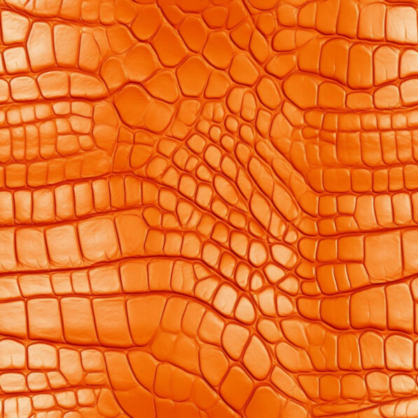 Download Orange Crocodile Skin Texture Patterns Online - Creative Fabrica
