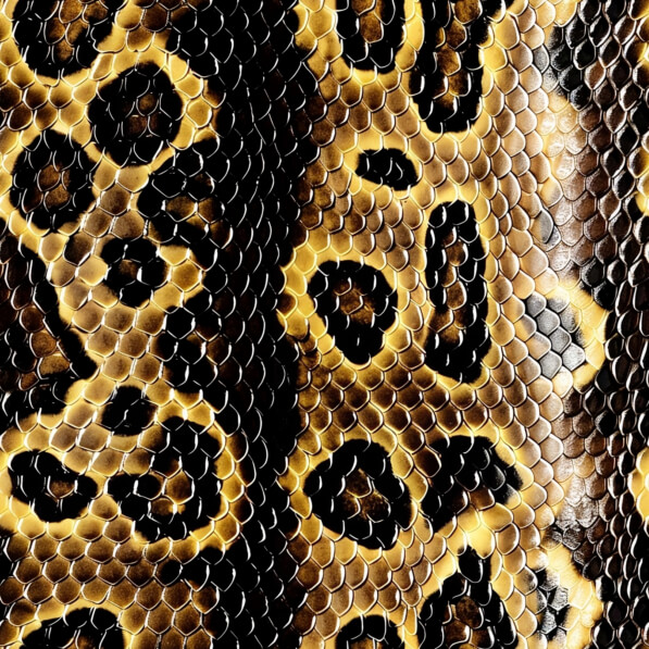 Download Python Skin Texture: Black Spots and Yellow Stripes Patterns ...