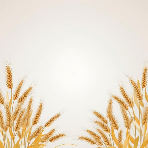 Download Wheat Field Background with Ears of Wheat Backgrounds Online ...