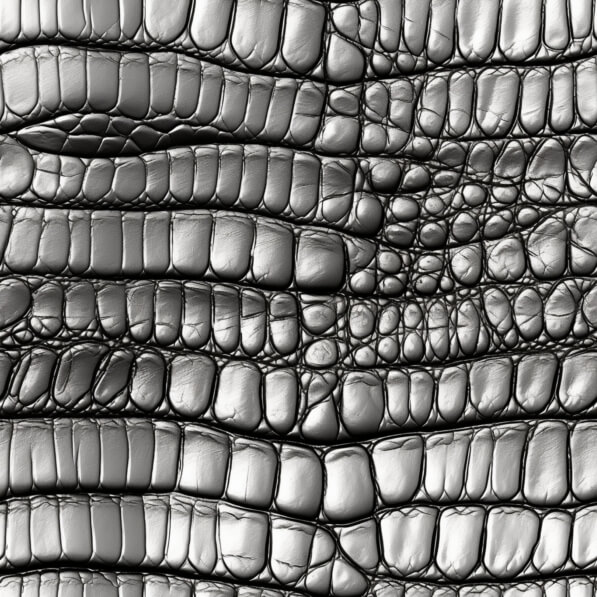 Download Alligator Skin Texture Patterns Online - Creative Fabrica