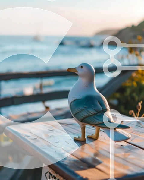 Seagull Statue on Wooden Table by the Ocean with Signs stock photo ...