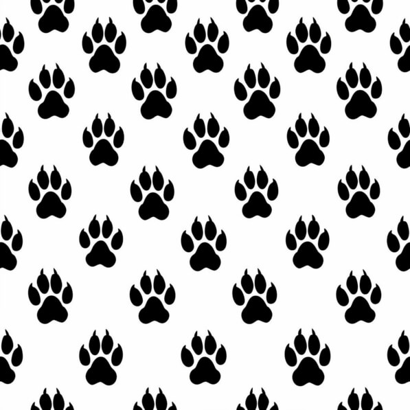 Download Black and White Pattern with Animal Paw Prints Patterns Online ...