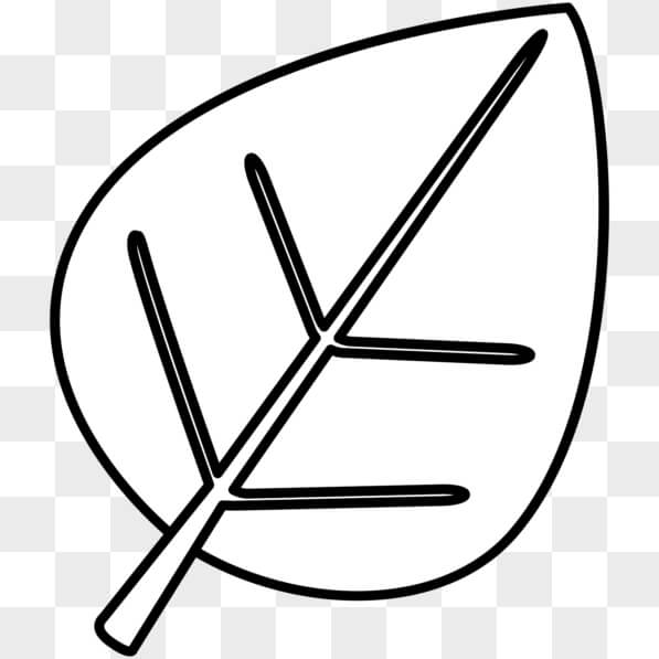 Download Black and White Leaf Outline PNGs Online - Creative Fabrica