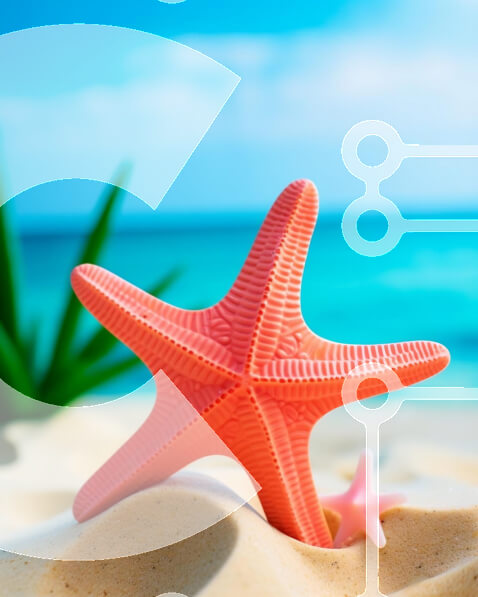 Pink Starfish on Sandy Beach stock photo | Creative Fabrica