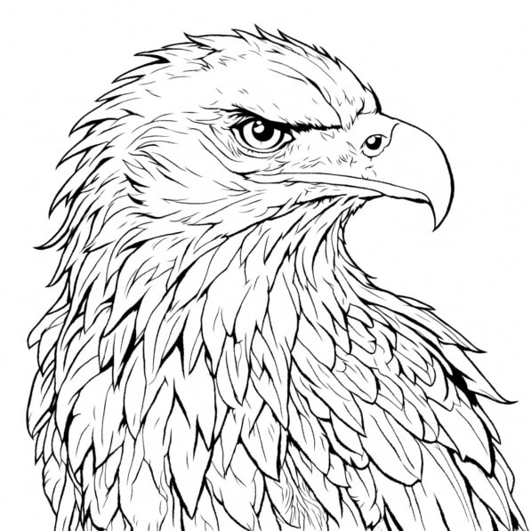 Download Zwart-witte tekening van de kop van een arend Kleurplaten ...