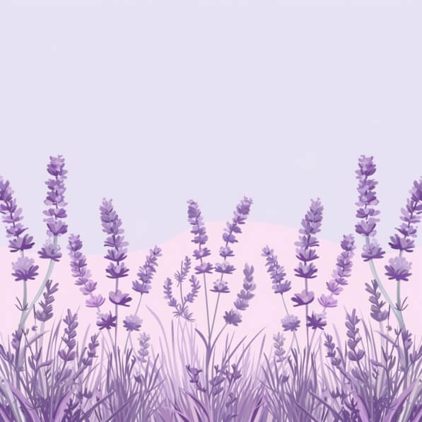 Download Lavender Field with Purple Flowers Backgrounds Online ...