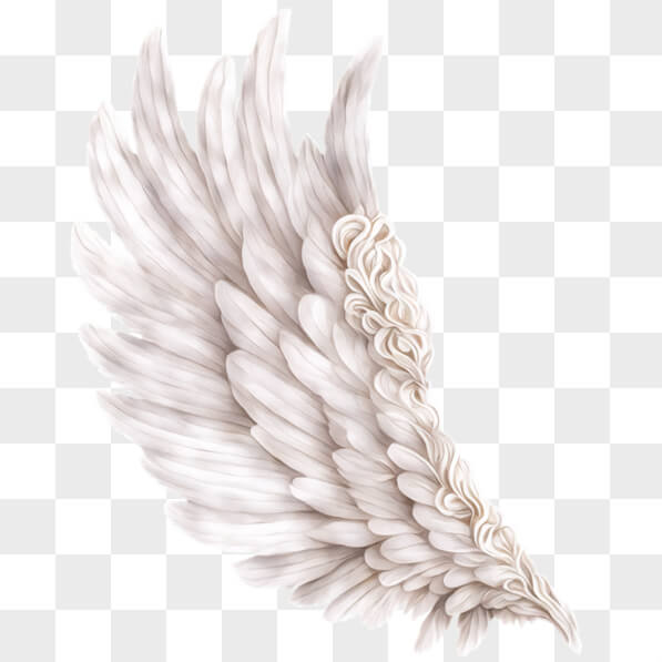Download White Angel Wing PNGs Online - Creative Fabrica