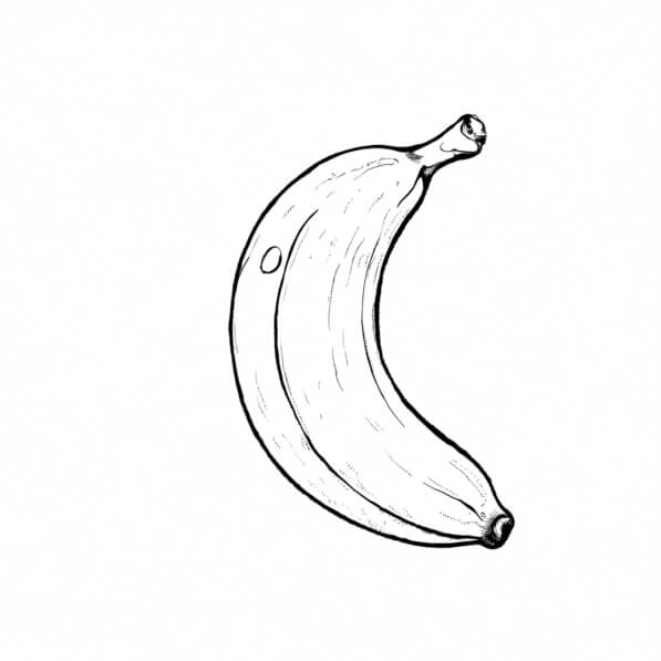 Télécharger Dessin en noir et blanc d'une banane non mûre Pages de ...