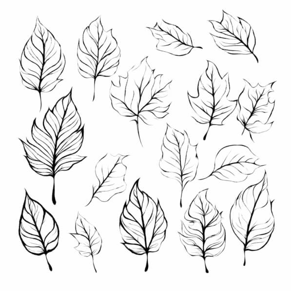 Download Abstract Leaves Drawing Coloring pages Online - Creative Fabrica