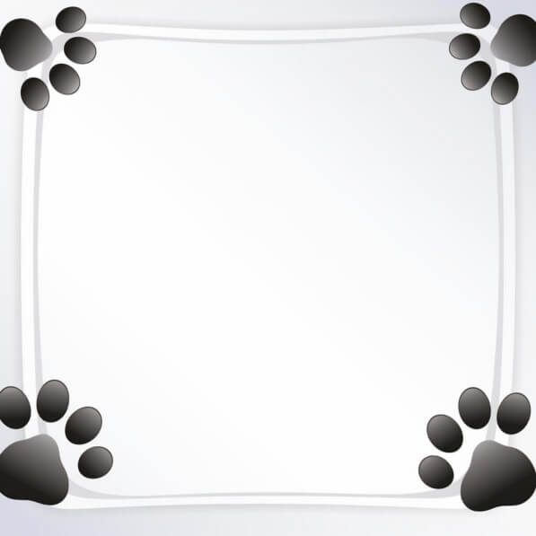 Download Black and White Frame with Dog Paw Prints Backgrounds Online ...