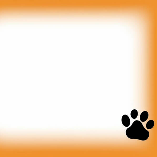 Download Orange Frame with Black Dog Paw Print Backgrounds Online ...