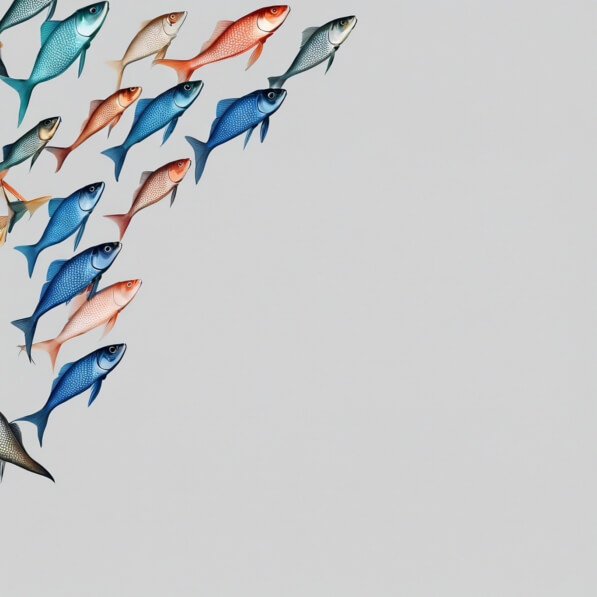 Download Colorful Fish Swimming in Inverted Triangle Formation ...