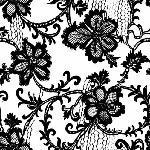 Download Black and White Lace Fabric with Floral Designs Patterns ...