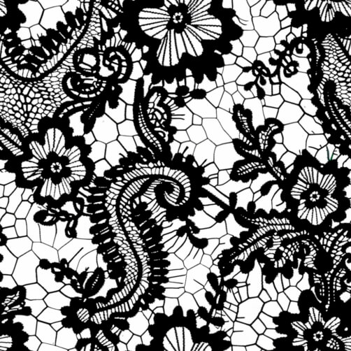 Download Black and White Lace Fabric with Floral Patterns Patterns ...