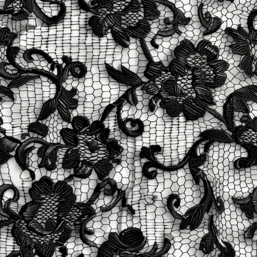 Download Black and White Lace Fabric with Floral Designs Patterns ...