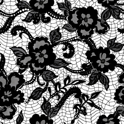 Download Black and White Lace Fabric with Floral Designs Patterns ...