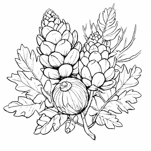 Download Black and White Drawing of Aspen Tree Coloring pages Online ...