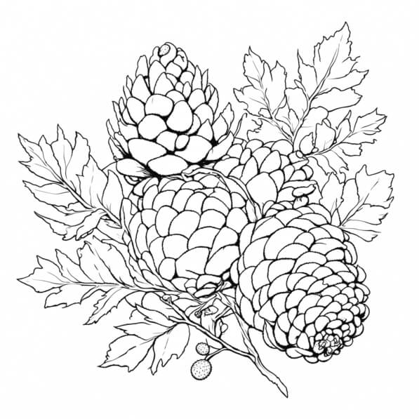 Download Pine Cone Branch with Leaves and Flowers Coloring pages Online ...