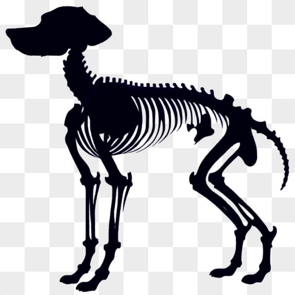 Download Dog Skeleton Silhouette PNGs Online - Creative Fabrica