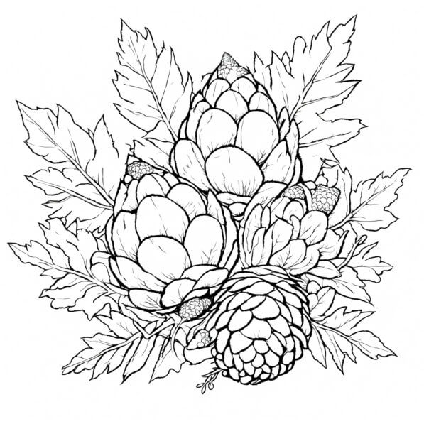 Download Black and White Artichoke Drawing Coloring pages Online ...