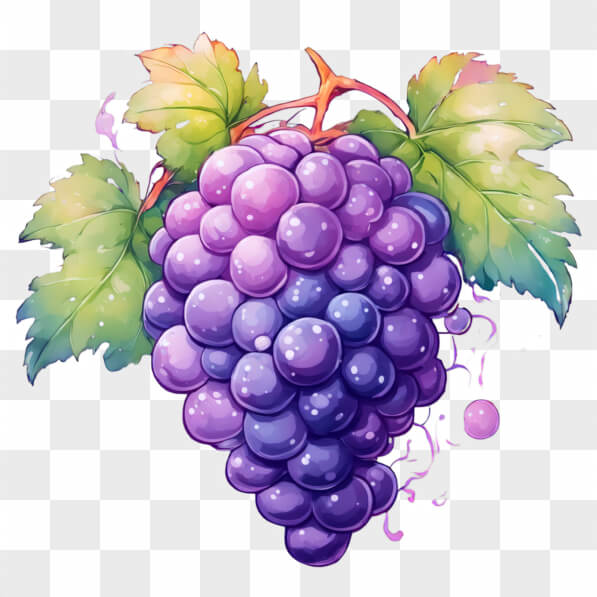 Download Kawaii Floating Purple Grapes with Green Leaves and Water ...