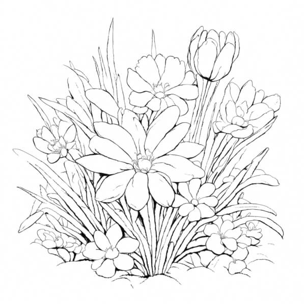 Download Black and White Flower Bed Drawing Coloring pages Online ...