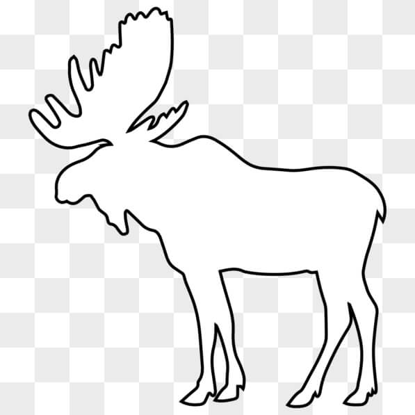 Download Black and White Moose Outline Coloring Page PNGs Online ...
