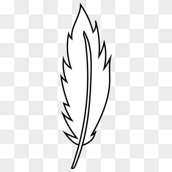 Download Black and White Feather Line Drawing PNGs Online - Creative ...