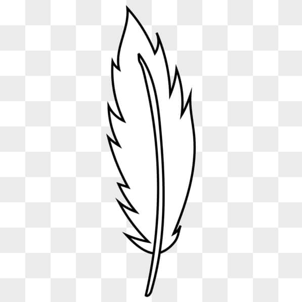 Disegno Piuma Da Colorare