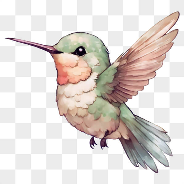 Download Kawaii Hummingbird Art Installation Kawaii Online - Creative ...