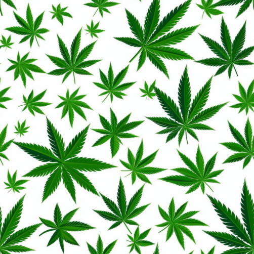 Download Seamless Green Marijuana Leaves Pattern Patterns Online ...