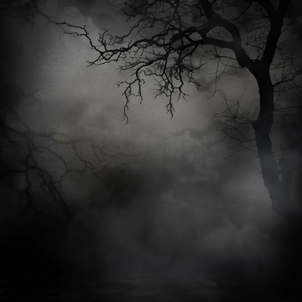 Download Dark and Eerie Background with Trees and Fog Backgrounds ...