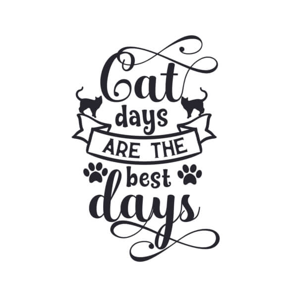 Download Cat Days Are the Best Days - Pet-themed Background Design ...
