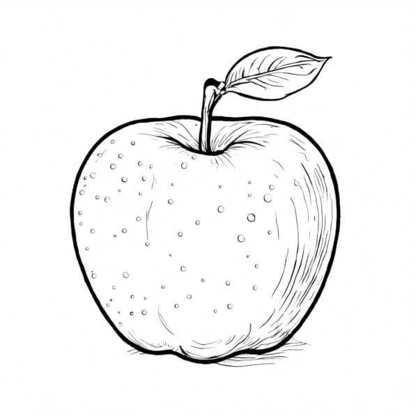 Download Black and White Apple Drawing for Coloring Activities Coloring ...