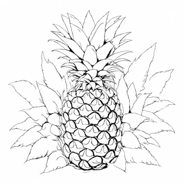 Download Kleurplaat van ananas met tropische vegetatie Coloring pages ...