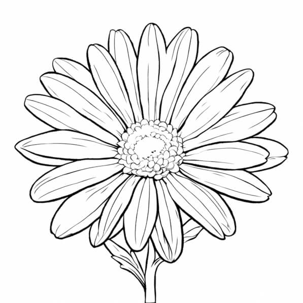 Download Black and White Daisy Flower Coloring Page Coloring pages ...