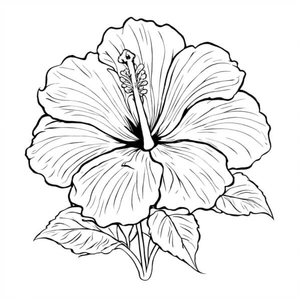 Baixe Desenho em preto e branco de uma flor de hibisco Colorir páginas ...