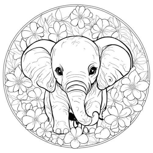 Download Elephant in Circle with Flowers Coloring pages Online ...