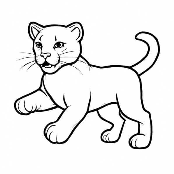 Download Black and White Panther Cub Coloring Page Coloring pages ...