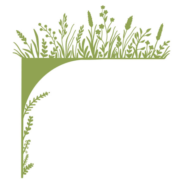 Download Green Corner with Grass and Flowers Borders & Corners Online ...