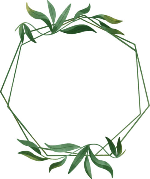 Descarga Marco Geométrico con Hojas Verdes y Ramas de Bambú Marcos En ...