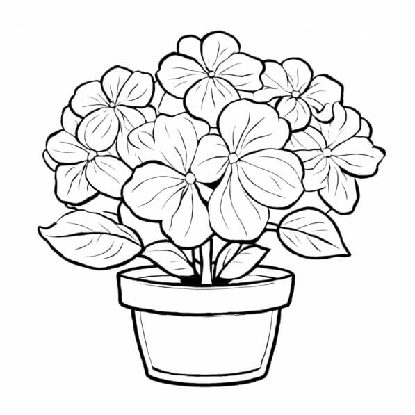 Download Potted Plant with Flowers Coloring Page Coloring pages Online ...