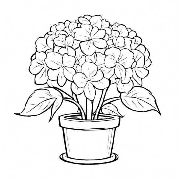 Download Coloring Page: Potted Flower for Kids Coloring pages Online ...