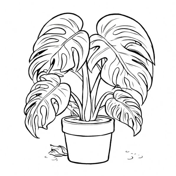 Potted Plant Coloring Page Coloring Pages
