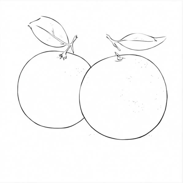 Descarga Dibujo de Dos Naranjas Frescas Páginas para colorear En Línea ...
