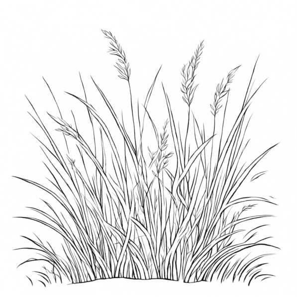Download Black and White Drawing of a Grassy Field Coloring pages ...