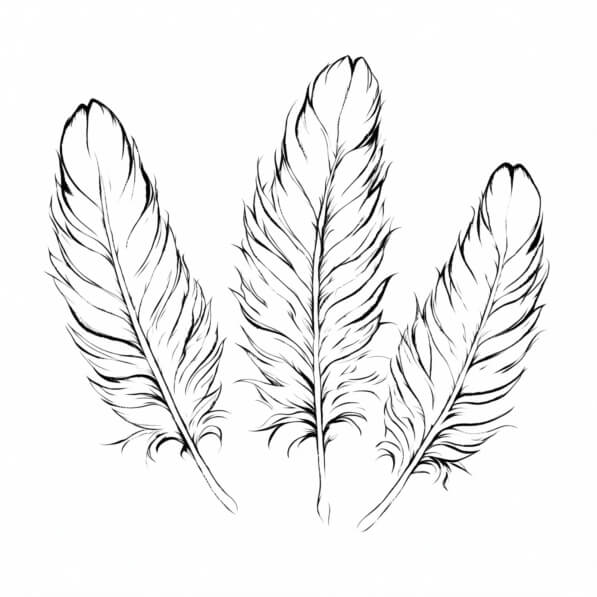 Download Black and White Drawing of Three Feathers Coloring pages ...